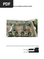 Seed Germination Report Sample (Easy) | PDF | Seedling | Seed