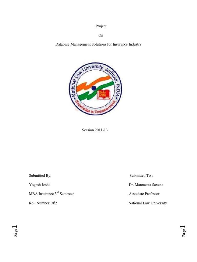 Insurance Database Management Solutions | PDF | Relational Database ...