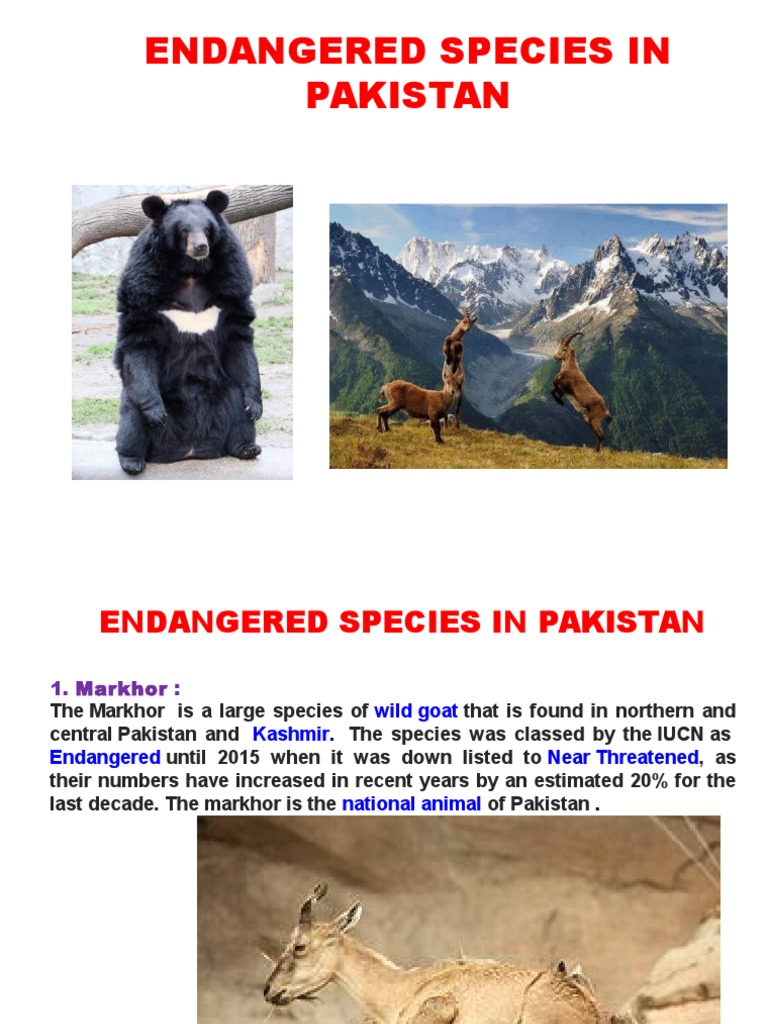 Endangered Species of Pakistan Overview | PDF | Endangered Species ...