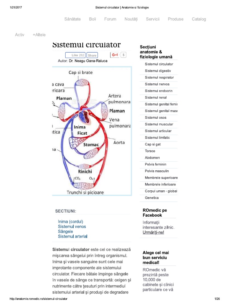 Sistemul Circulator | PDF