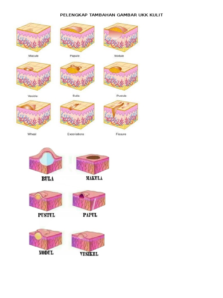 Pelengkap Tambahan Gambar Ukk Kulit | PDF