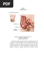 LP Appendicitis | PDF