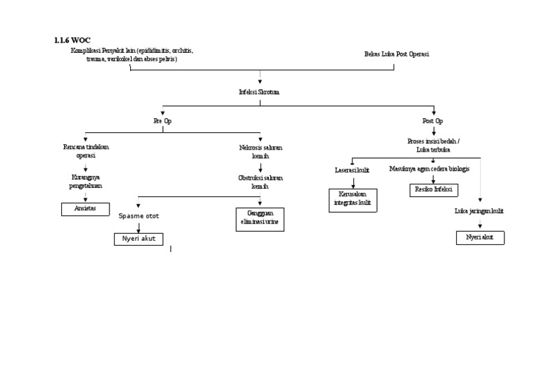 WOC Abses Skrotum | PDF