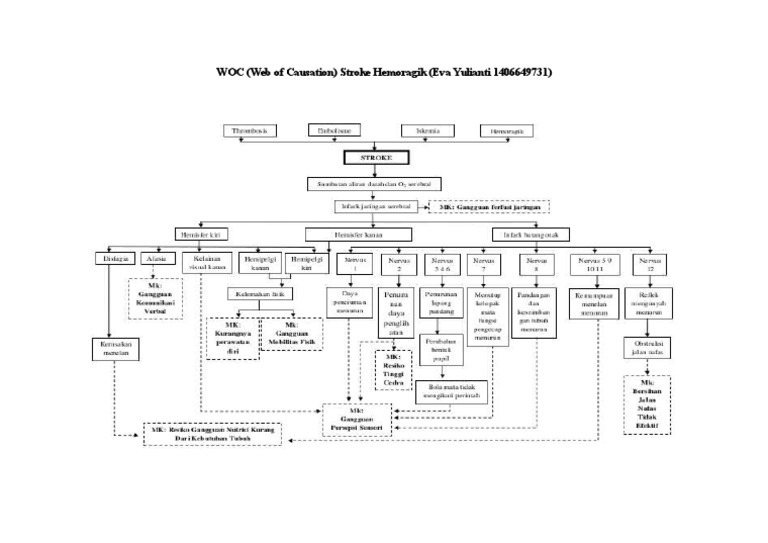 WOC (Web of Causation) Stroke Hemoragik (Eva Yulianti 1406649731) | PDF