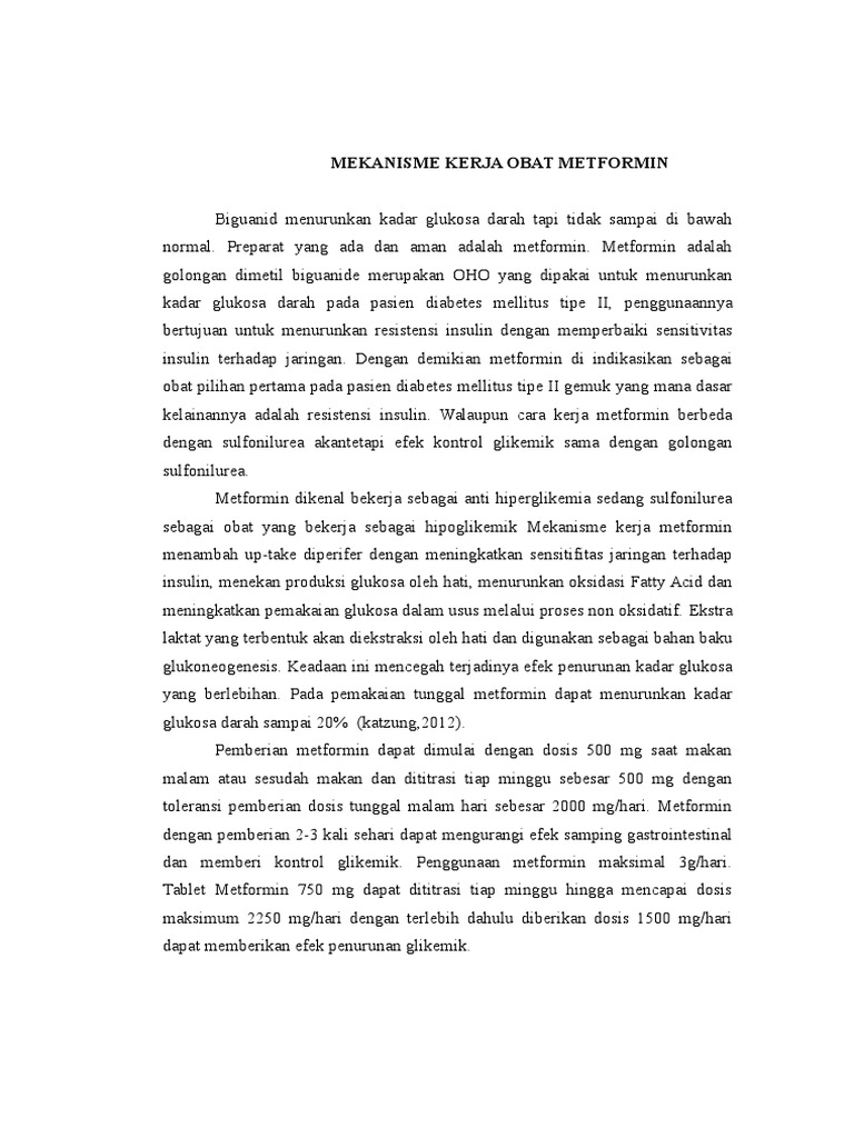 Mekanisme Kerja Obat Metformin | PDF