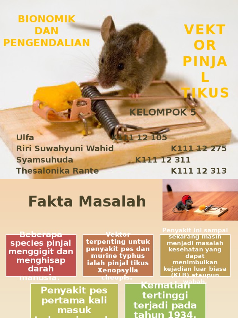 Kelompok 5 - Vektor Pinjal Tikus | PDF