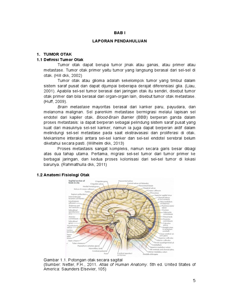 LP Tumor Otak | PDF
