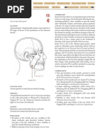 Life Problems Inventory | PDF | Borderline Personality Disorder ...