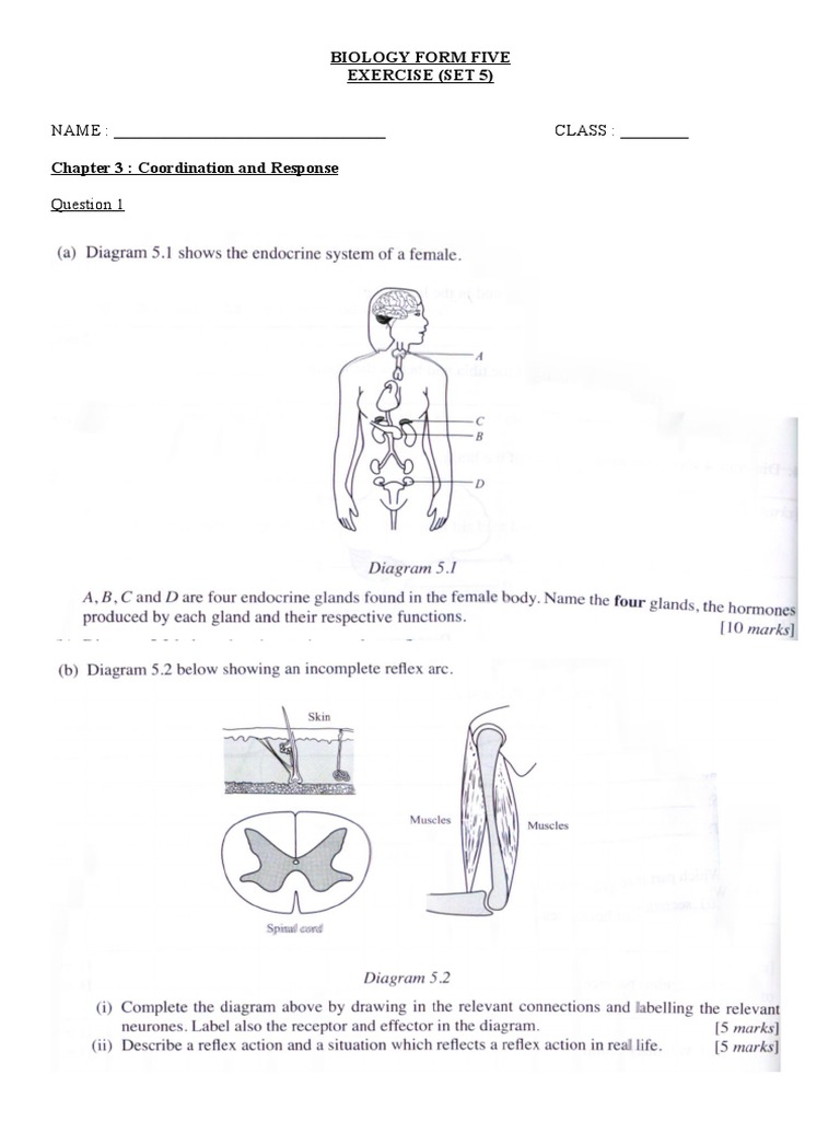 BIO FORM 5 Set 5 | PDF | Science | Biology