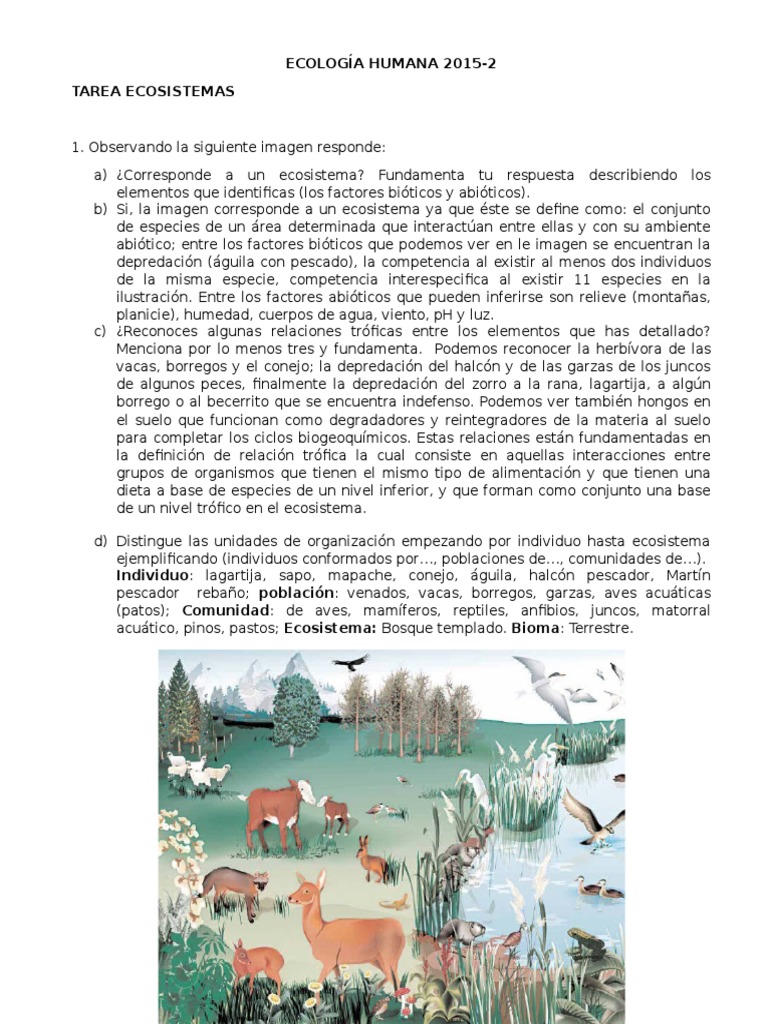 TAREA Ecosistemas Manuel | Descargar gratis PDF | Ecosistema | Organismos