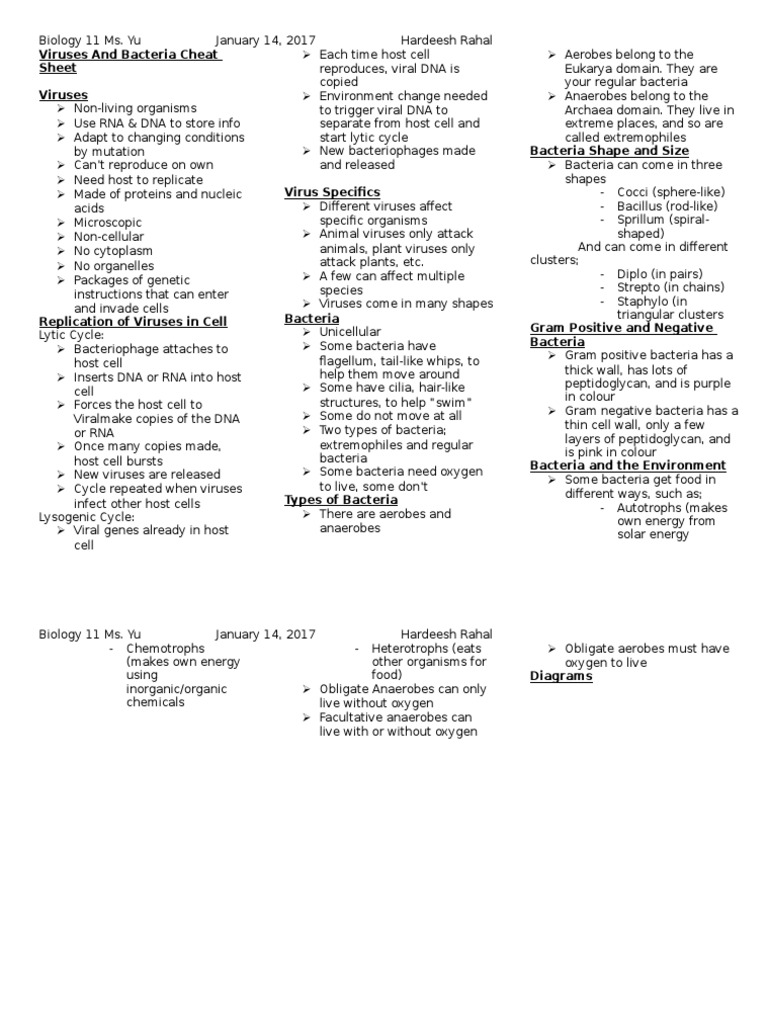 Viruses and Bacteria Overview Cheat Sheet | PDF | Wellness