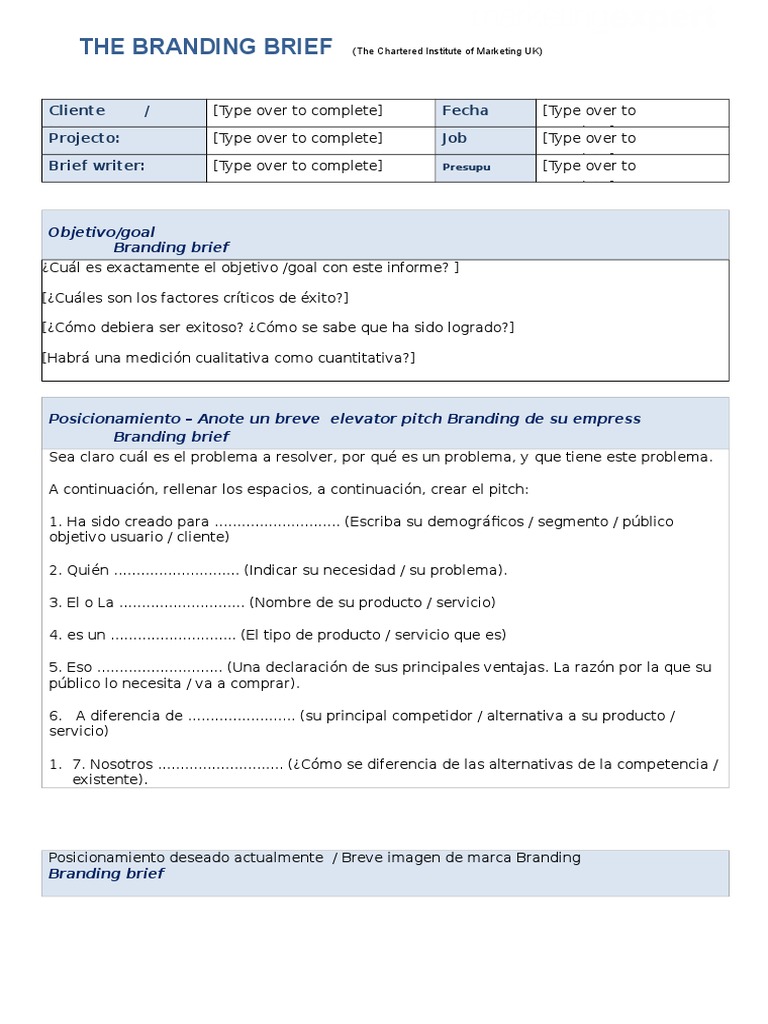 Brief de Branding Esencial | PDF | Gestión de la marca | Marca