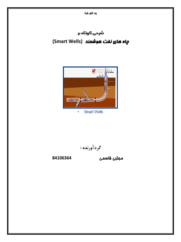 Smart Well | PDF | Science & Mathematics | Computers