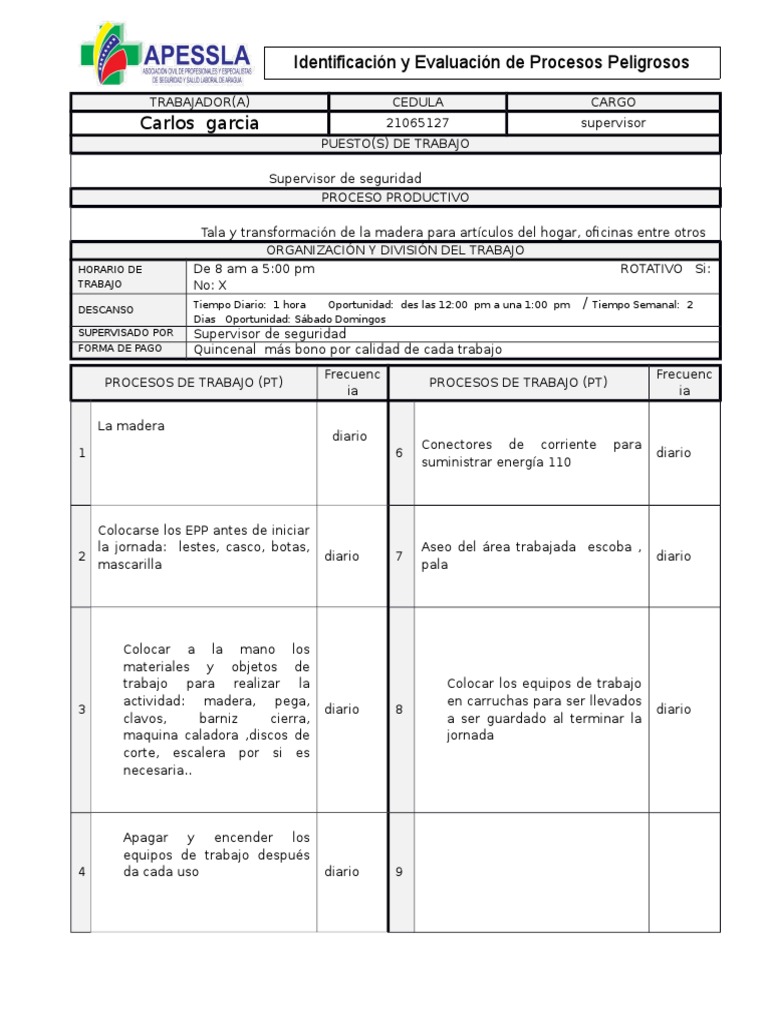 Formato IPP Encuesta Colectiva APESSLA Brian | PDF | Science | Ingeniería
