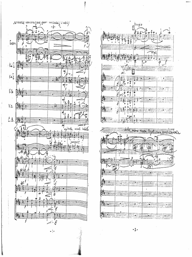 Igor Shamo - Accordion (Bayan) Concerto (1981) - Score | PDF