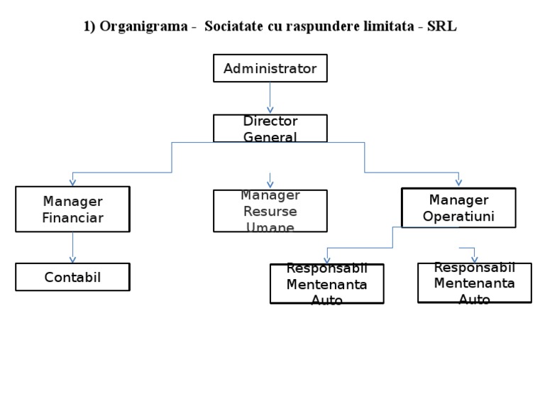 1) Organigrama - Sociatate Cu Raspundere Limitata - SRL: Administrator ...