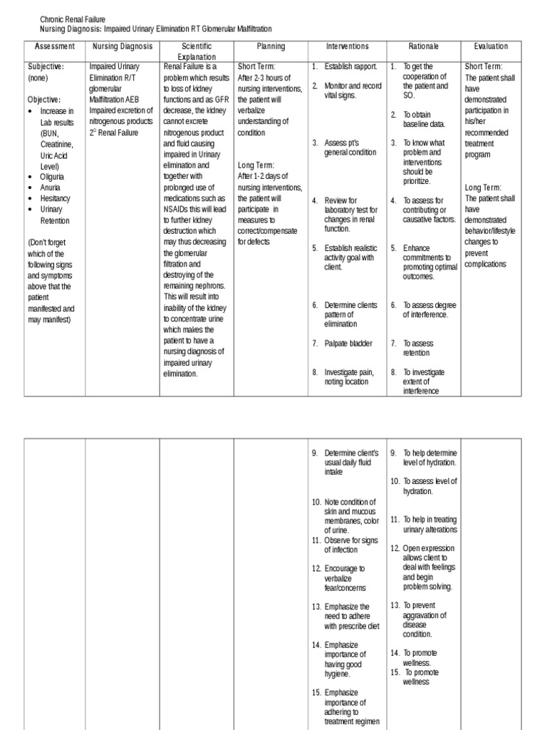 65022362-NCP-Impaired-Urinary-Elimination-CRF.docx | Kidney | Medical ...
