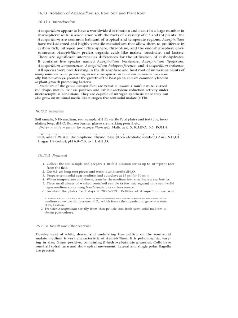 Azospirillum Isolation | PDF