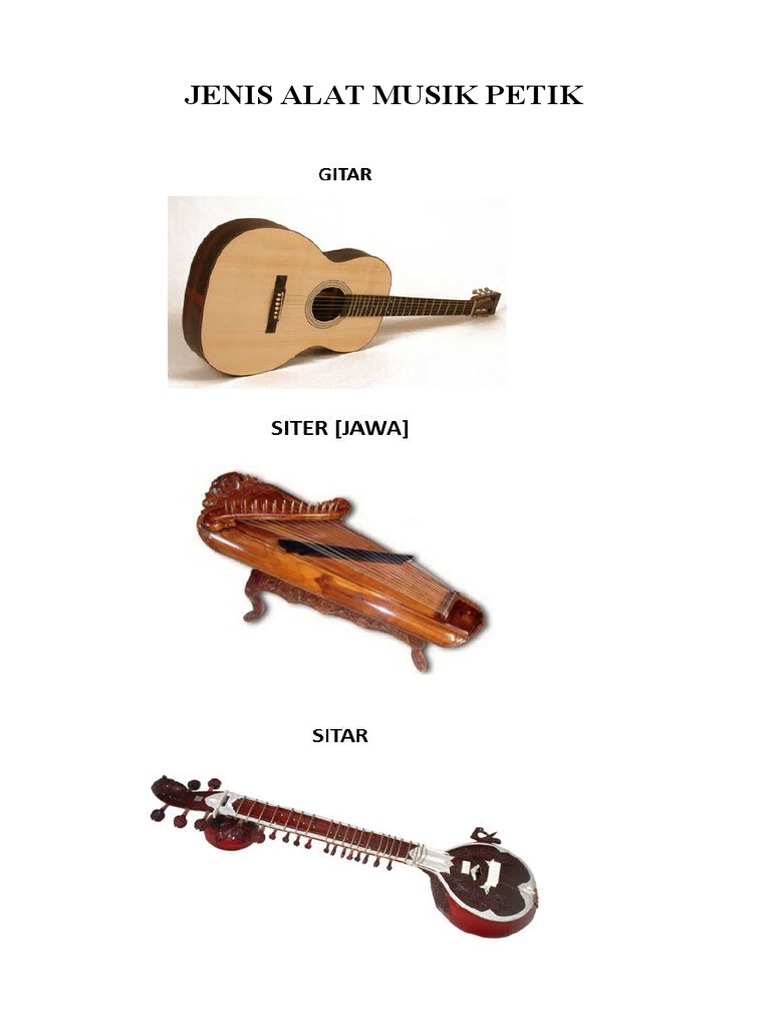 Jenis Alat Musik Petik | PDF