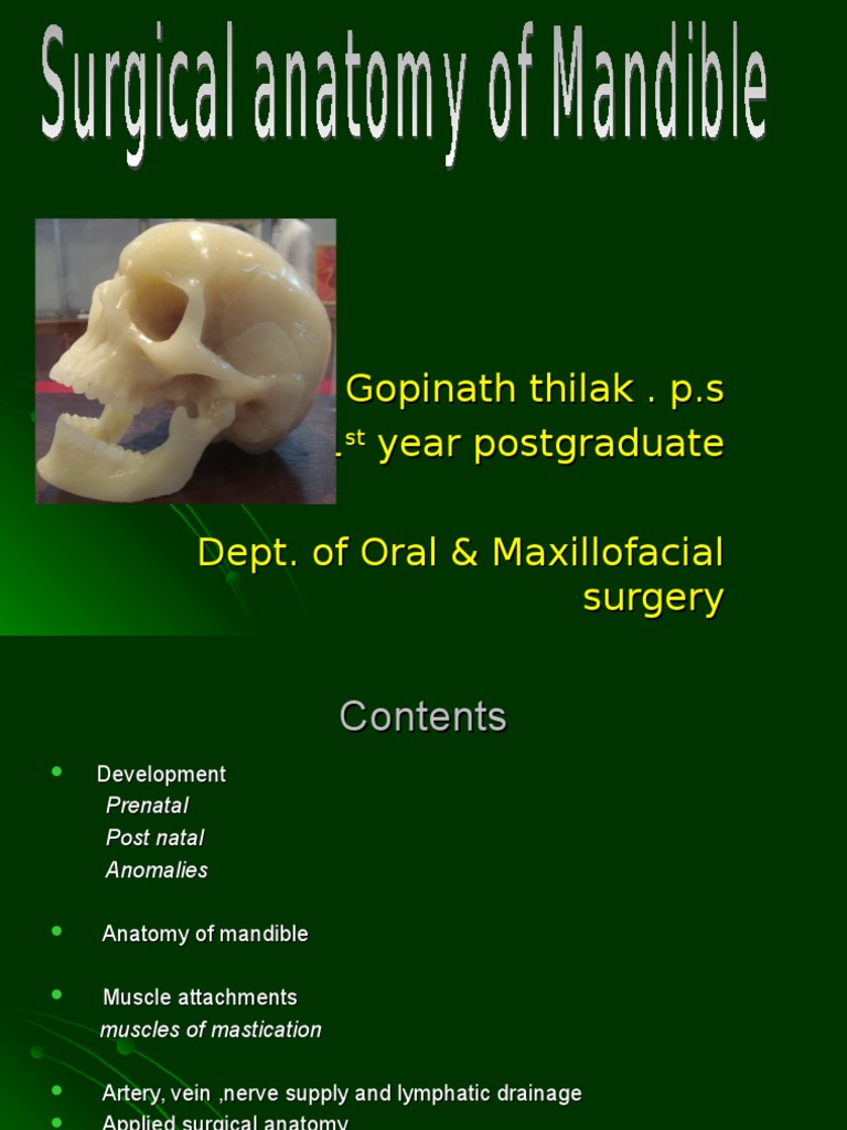 Surgical Anatomy of Mandible Dept | PDF | Skeletal System | Human Anatomy