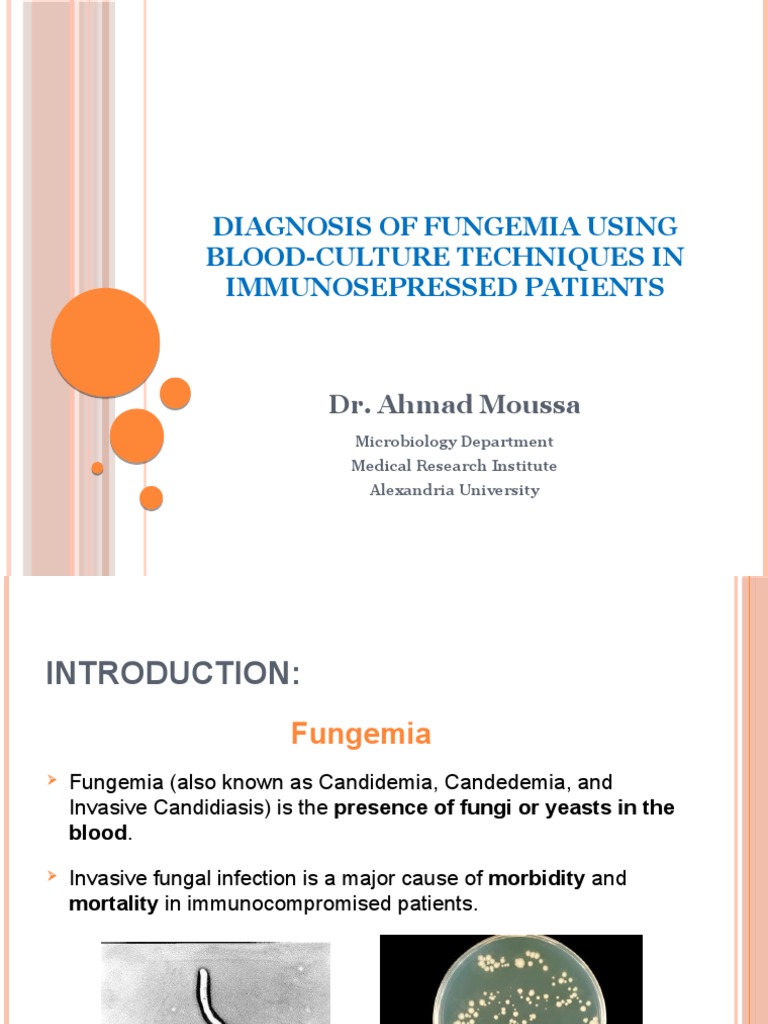Diagnosis of Fungemia in Immunosuppressed Patients using Blood Culture ...