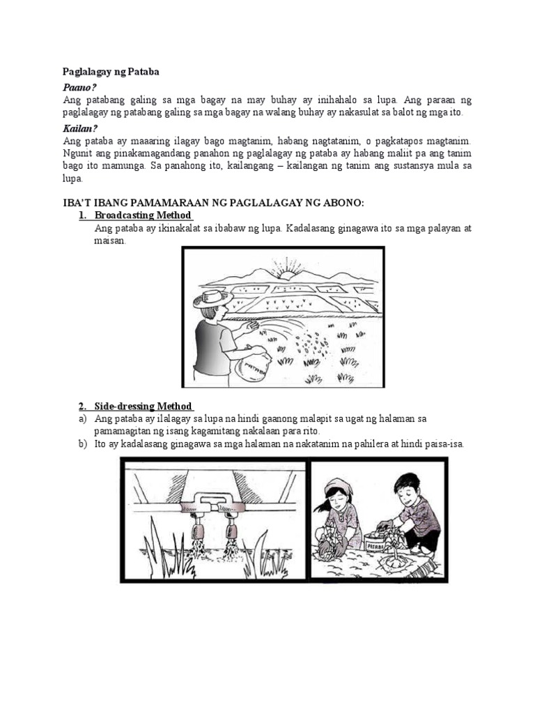 Paglalagay NG Pataba | PDF