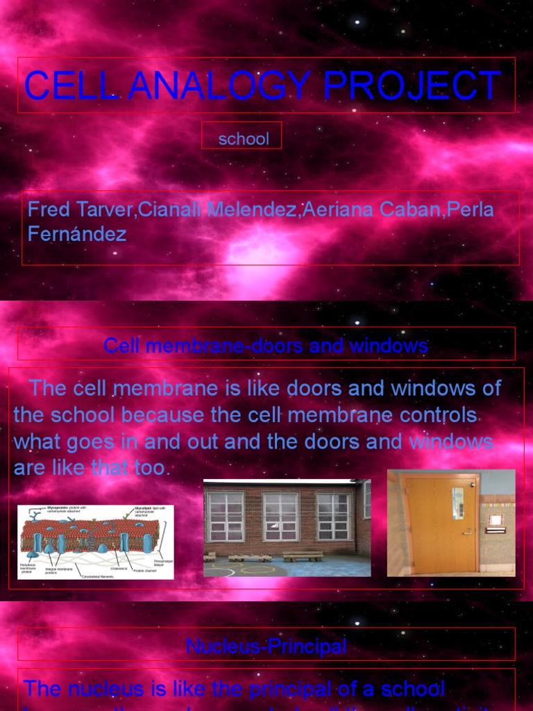 School Cell Analogy Project Overview | PDF | Language Arts & Discipline