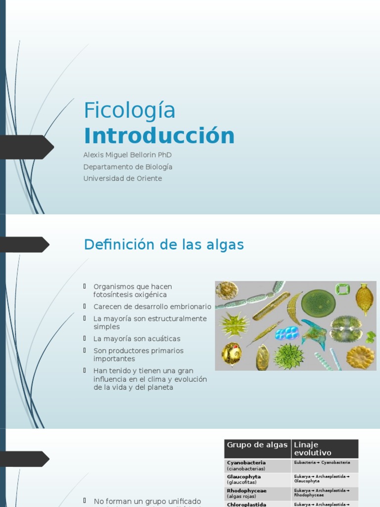 Ficología 1 | PDF | Algas | Eucariotas