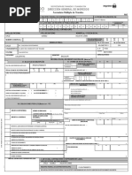 Como Llenar El Formato PDF | PDF | Economias | Gobierno