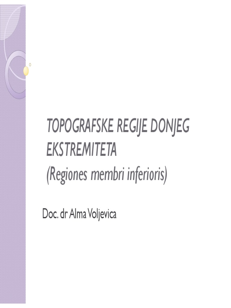 Regije Noge 1 | PDF