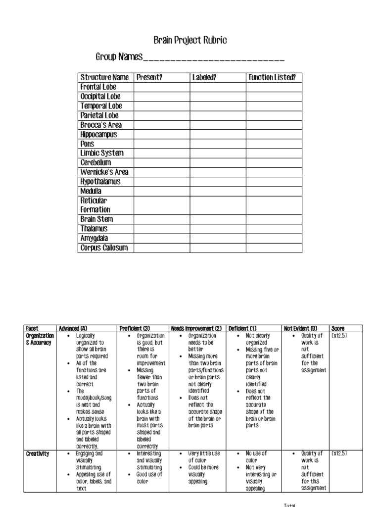 Brain Project Rubric | PDF