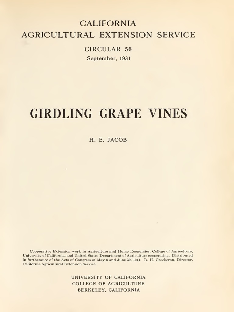 Girdling Grape Vines | PDF | Raisin | Grape