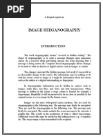 Project Report On Image Steganography BY PARVEEN | PDF | Java (Programming Language) | Cryptography