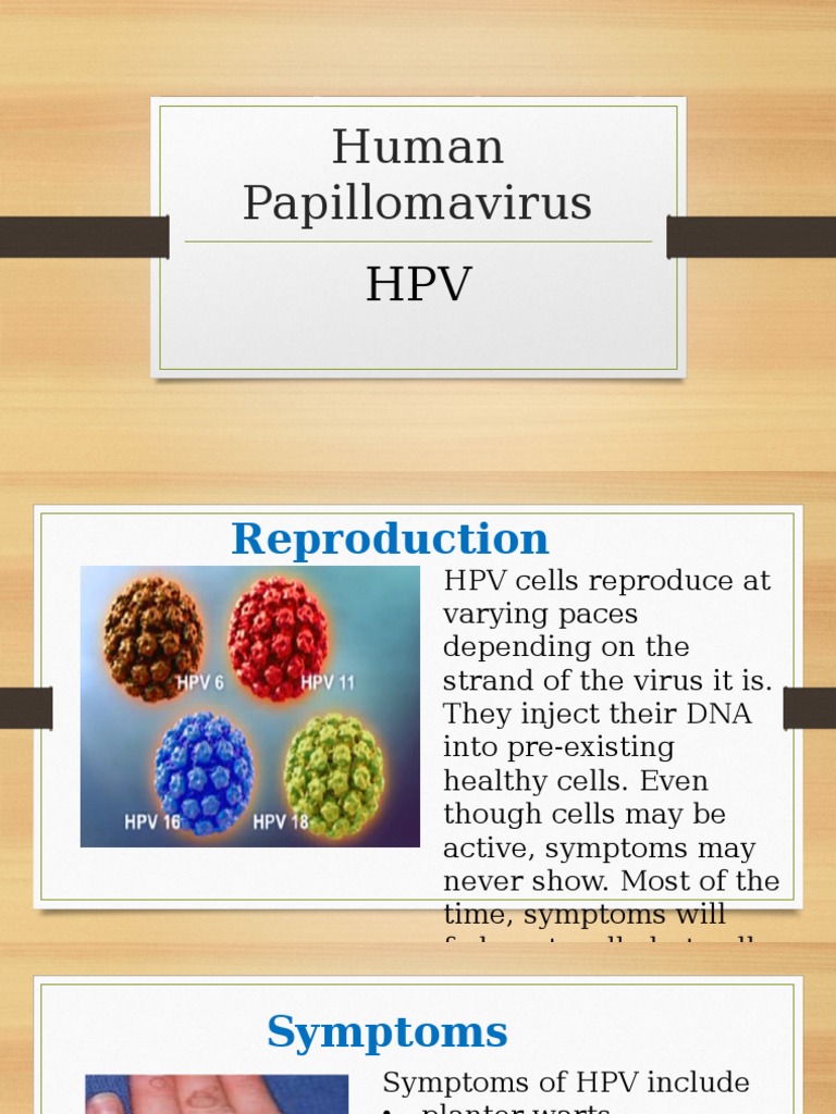 Human Papillomavirus | PDF | Animal Viral Diseases | Health Sciences