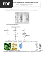 Sopa de Letras de La Fotosíntesis - 76 | PDF
