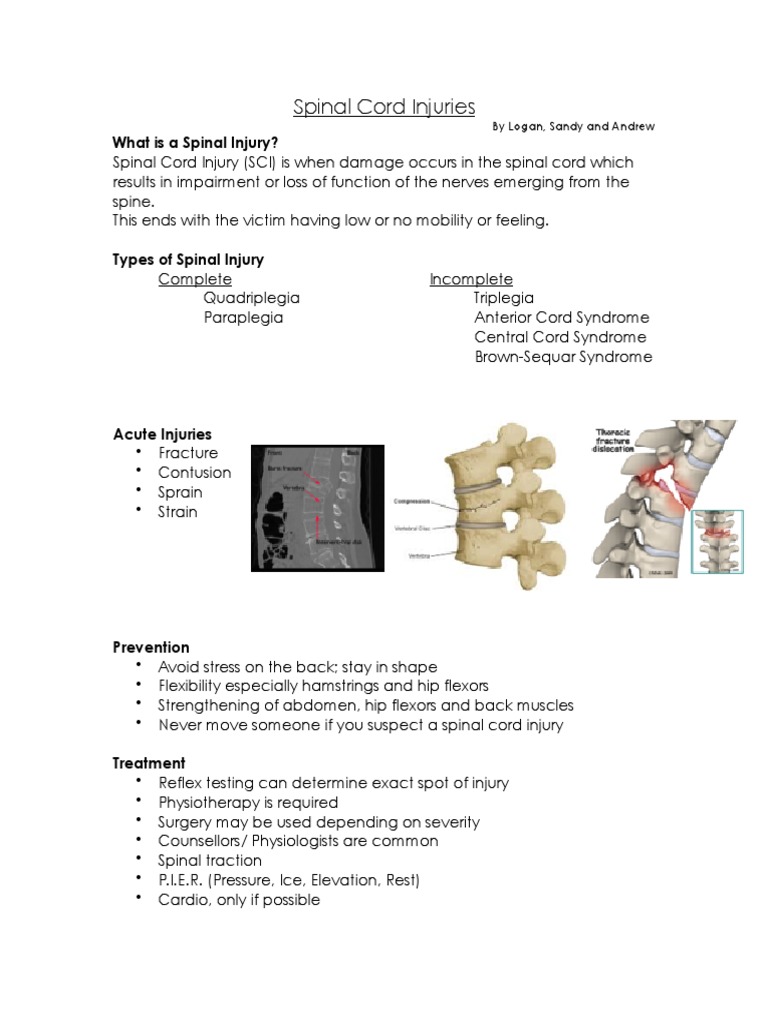 Spinal Cord Injuries | PDF