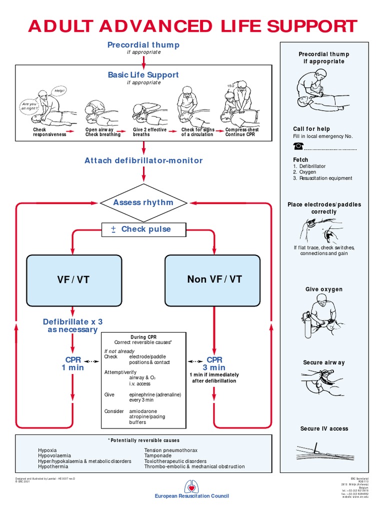 Adult Advanced Life Support: Precordial Thump | PDF