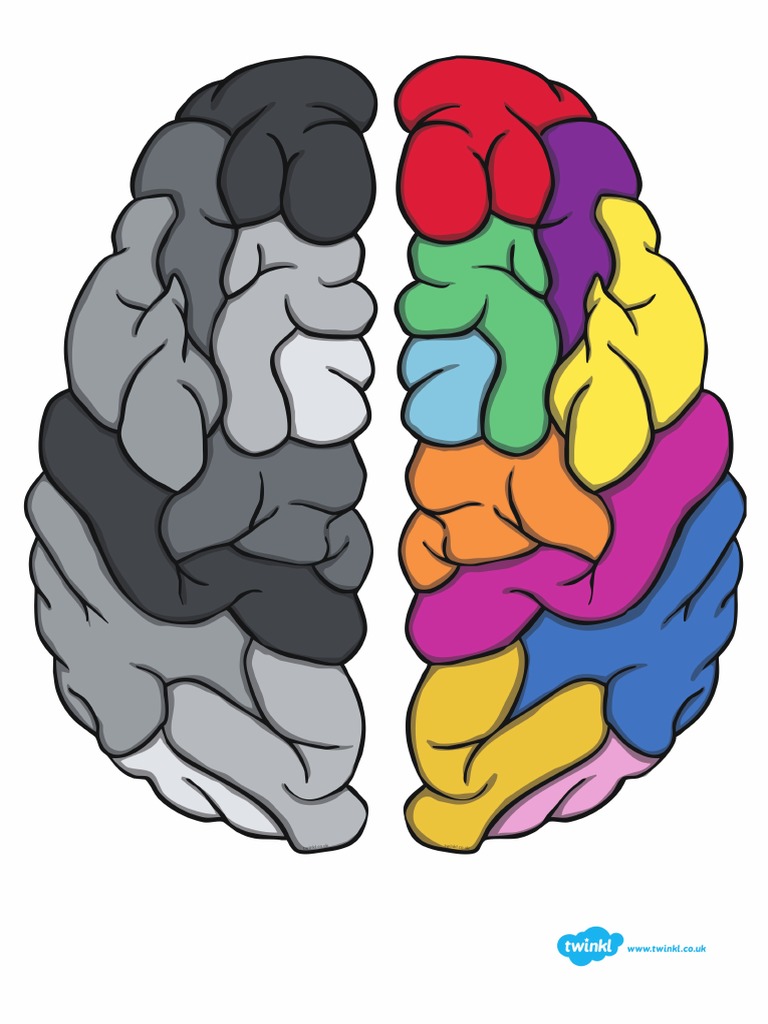 T-C-7570-Large-Display-Growth-Mindset-Brain.pdf