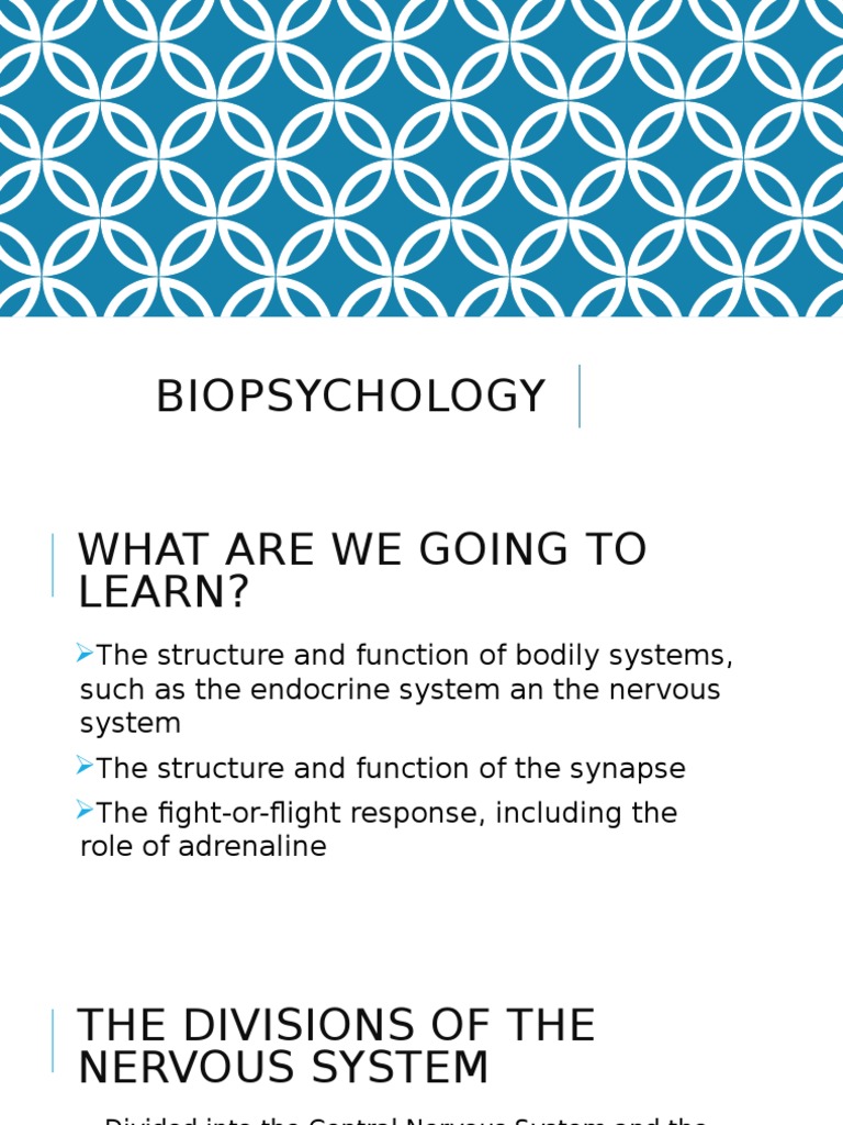 Biopsychology | PDF | Chemical Synapse | Neuron