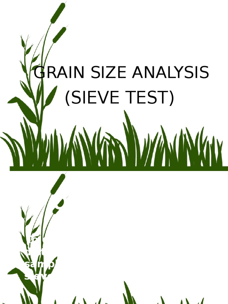 Sieve Analysis for Grain Size Determination | PDF
