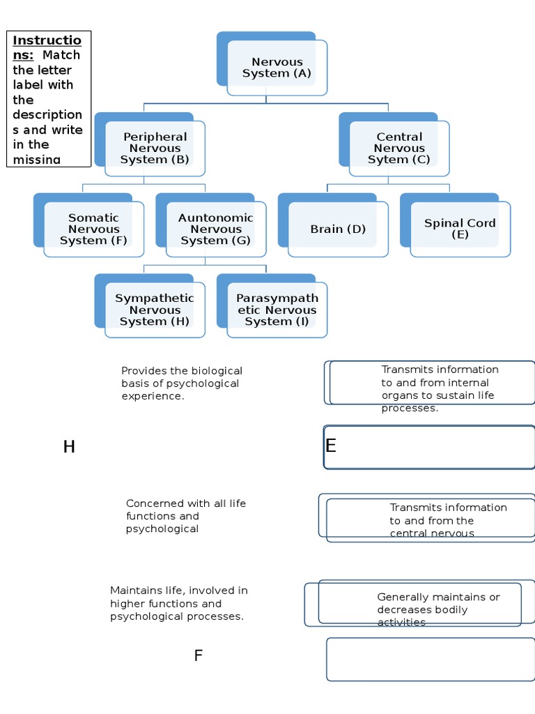 Biological Booster | PDF