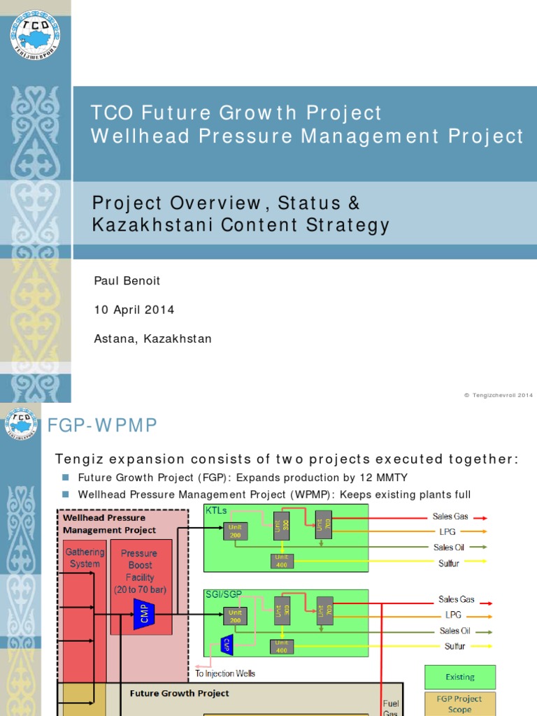 FGP WPMP Overview | PDF | Energy And Resource | Business