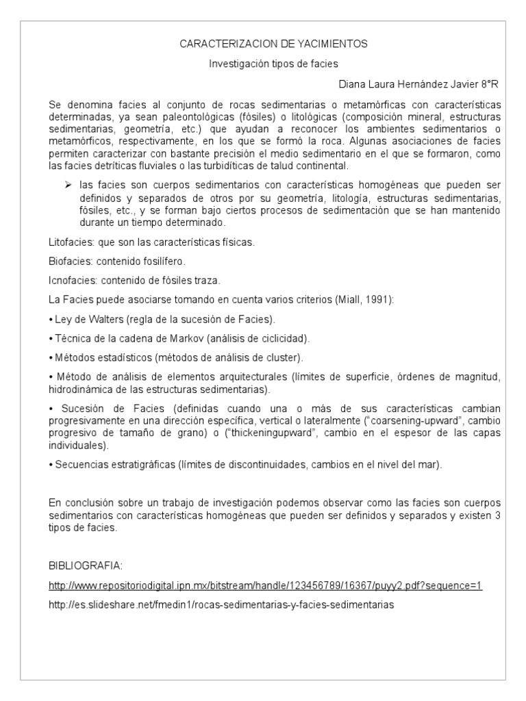Tipos de Facies | PDF