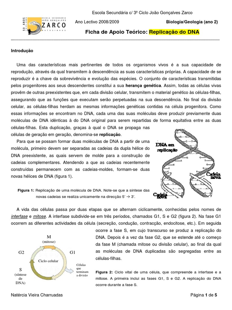 A Replicação Do Dna Um Processo Bidireccional E Assimétrico Pdf