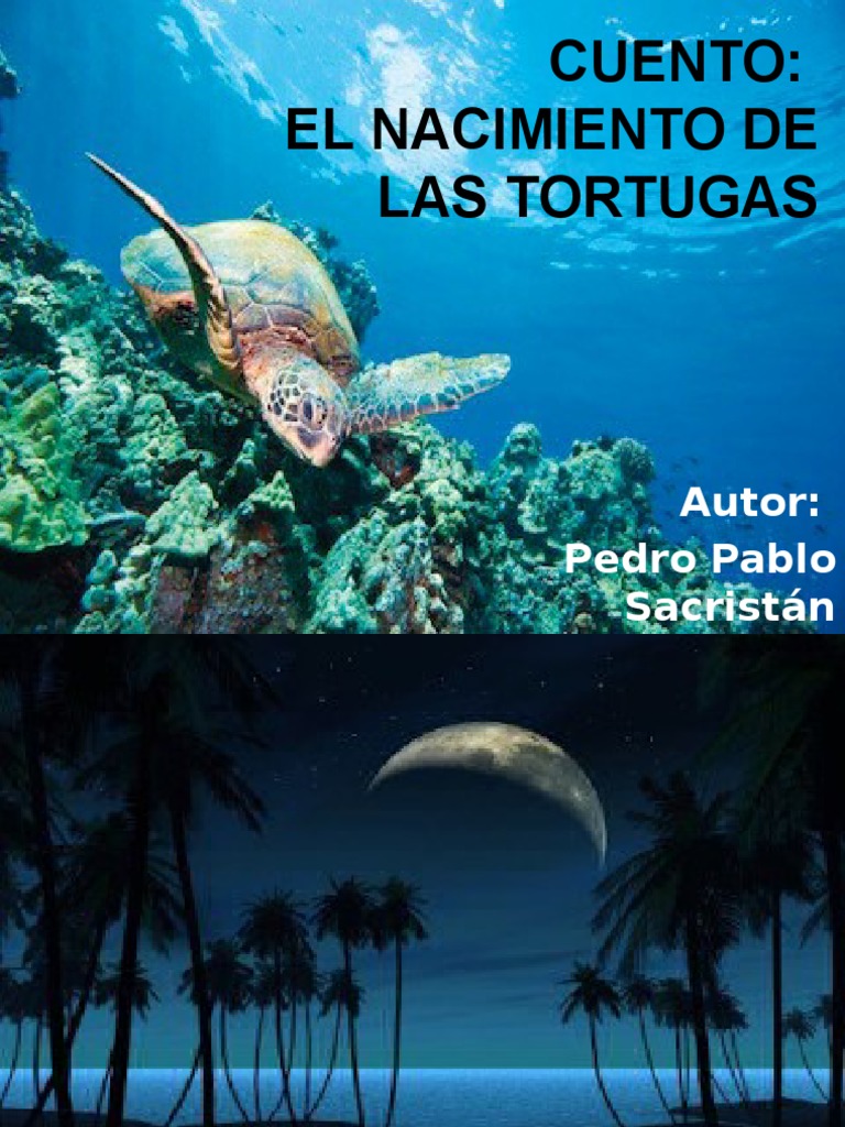 Cuento El Nacimiento de Las Tortugas | PDF