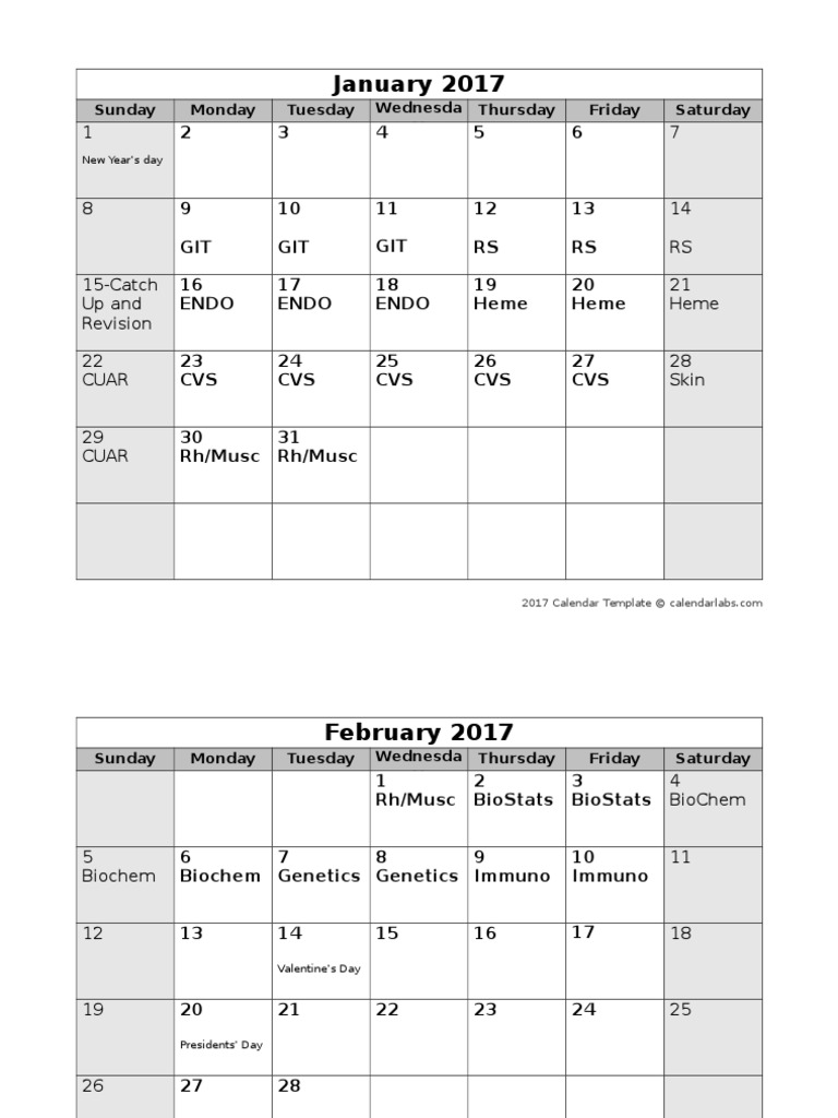 2017 Monthly Us Holidays Calendar | PDF