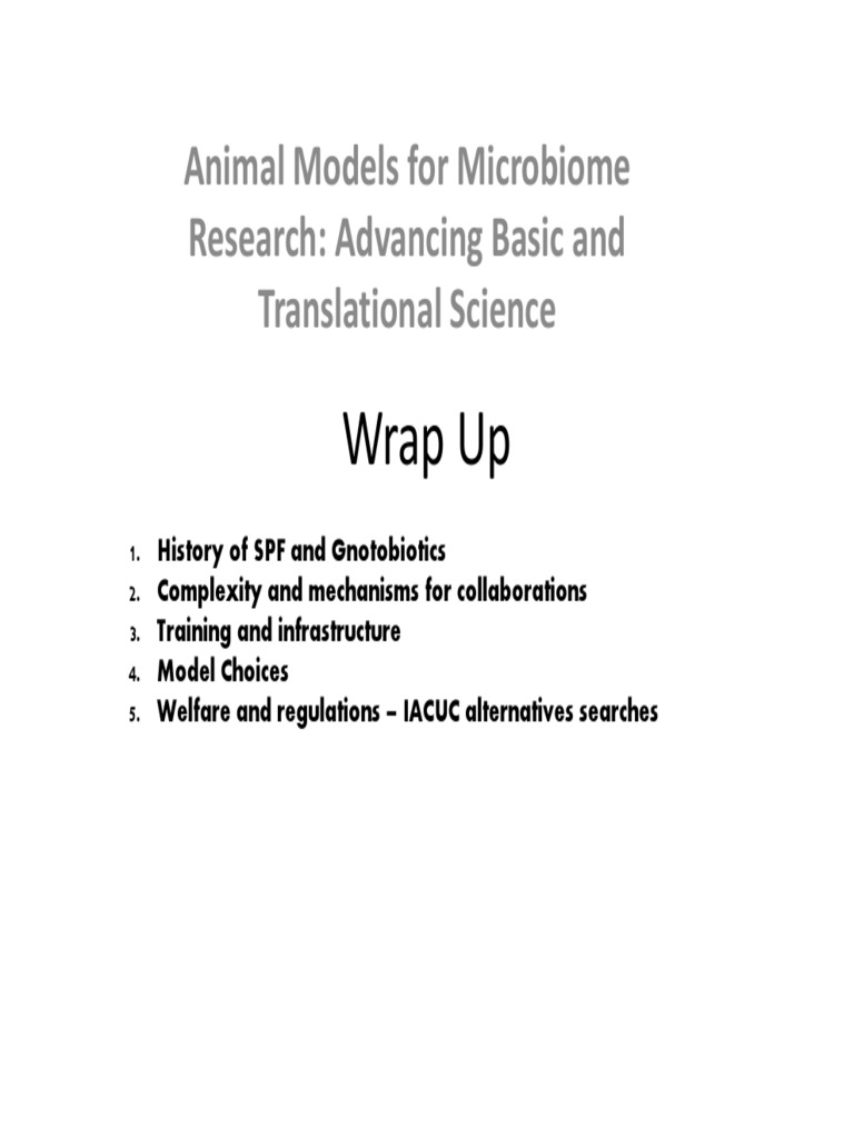 Workshop Wrap Up | PDF