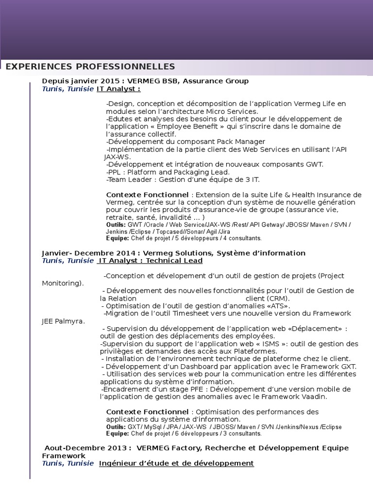 Aladin CV Ingénieur Infromatique | PDF | Eclipse (Logiciel) | Java ...