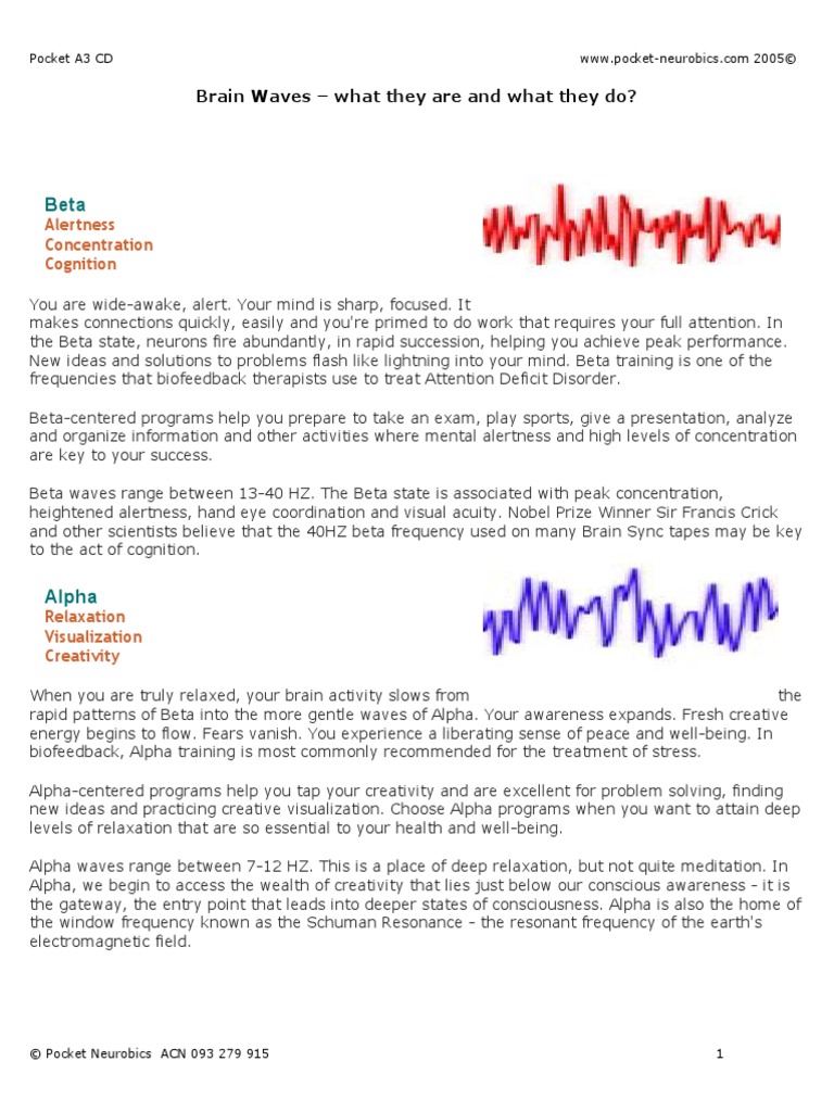 Brain Waves | Download Free PDF | Attention | Neural Oscillation