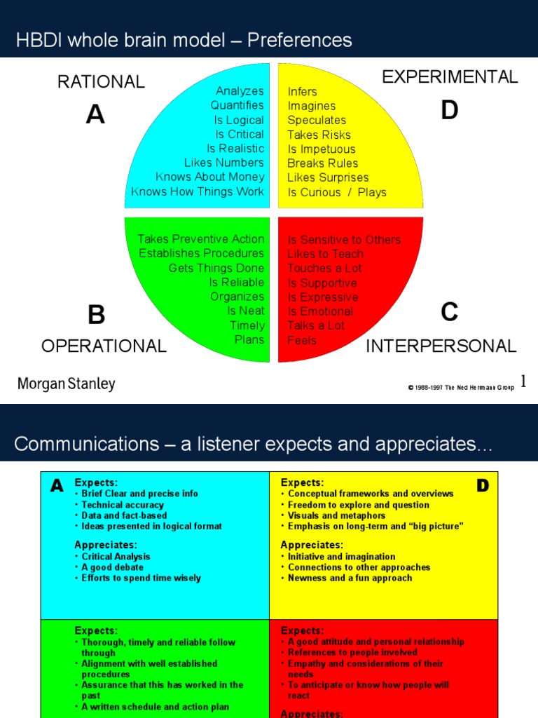 HBDI Whole Brain Model - Preferences: Rational Experimental | PDF